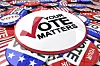 Get ready to vote in this year’s election | Election Guide | dchieftain.com
